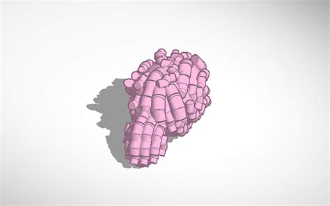 3d Design Brain Tinkercad