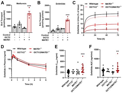 Mate1 Deficiency Exacerbates Dofetilide Induced Proarrhythmia