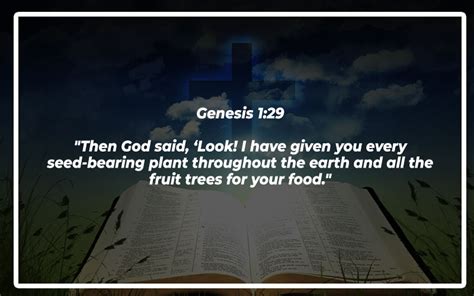 35 Bible Verses About Cooking Explained Bible Repository
