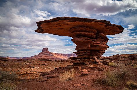 Bears Ears National Monument Photo Gallery