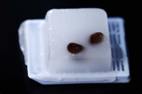 Purification Of Dna From Ffpe Steinbrenner Laborsysteme Gmbh