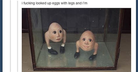 Eggs Imgur