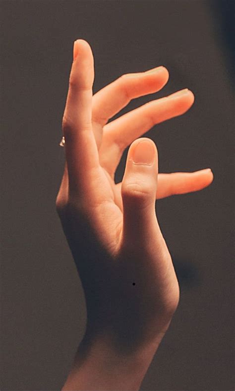 Sign Up Linkedin Hand Drawing Reference Hand Reference How To Draw Hands