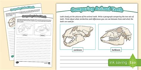 Comparing Animal Teeth Worksheet
