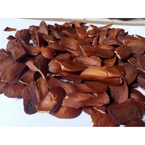 Jual Biji Mahuni 100 Gram Shopee Indonesia