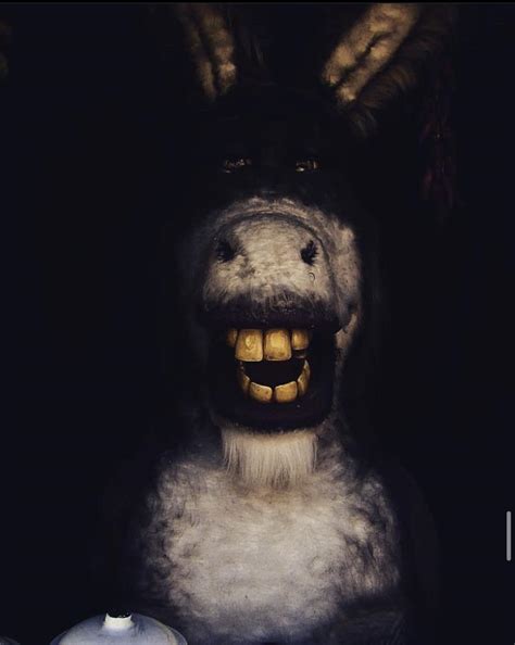 Cursed Donkey Rcursedimages