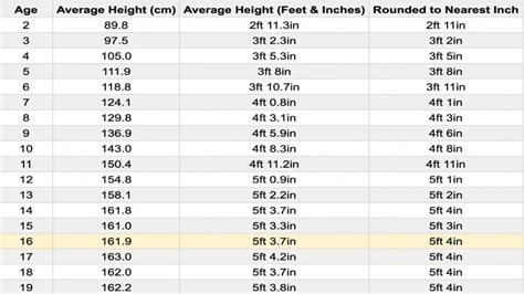 The Average Height For 16 Year Olds Boys And Girls