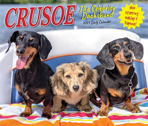 Amazon Crusoe The Celebrity Dachshund 2021 Calendar Beauchesne