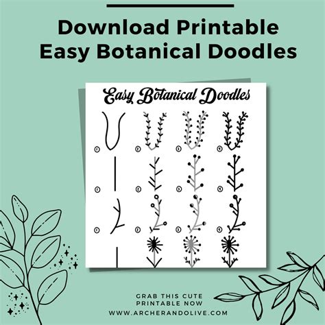 Easy Line Botanical Doodles For Your Bullet Journal Or Planner Archer