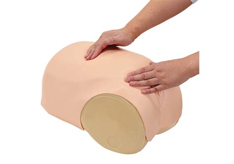 Simulateur Post Partum Involution Utérine Matériel Médical Professionnel