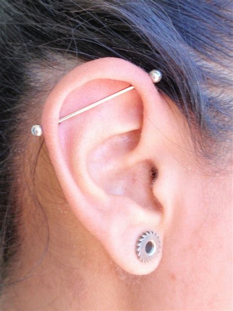 Ear Anatomy For Industrial Piercing At Juana Faller Blog