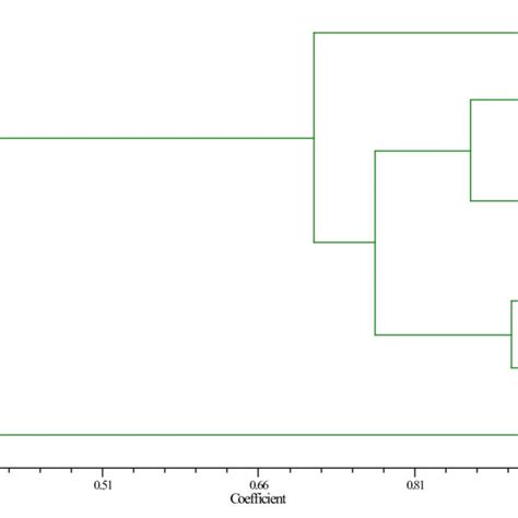 Dendrogram Upgma Showing The Genetic Relationship Between The Download Scientific Diagram