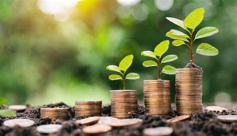 The Importance Of Investing Money In The Stock Market Cnbconnect