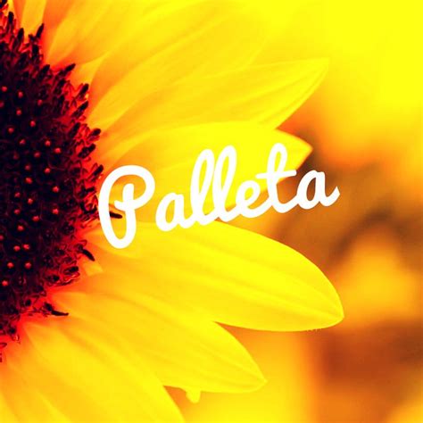 Palleta Palette