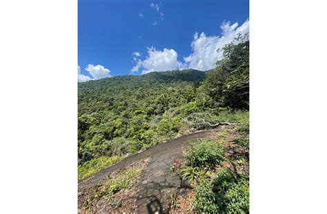Quarrie Tourism Committee Launches Eight Hour Nature Tour Guyana Chronicle