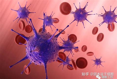 炎症是什么原因引起？ 知乎