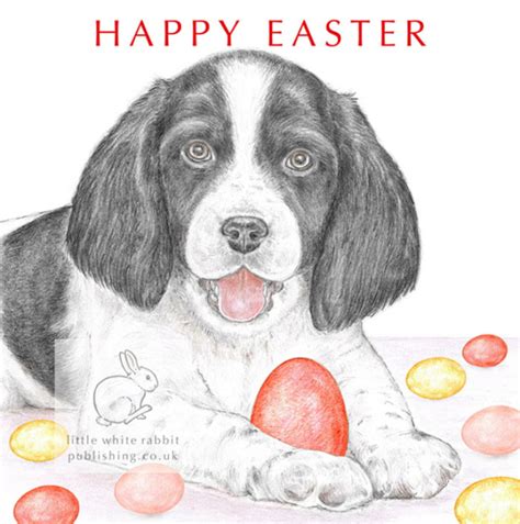 Sally The Springer Spaniel Easter Card