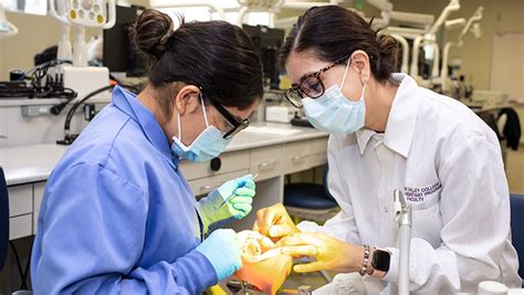 Dental Assistant Program