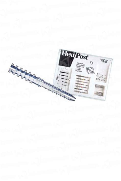 Flexi Post Assorted Intro Kit Stainless Steel 012 Dentavision