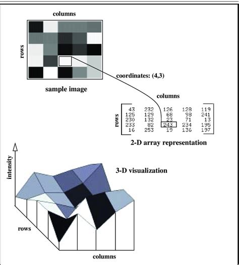 4 2 d matrix representation and 3 d visualization of a grey scale