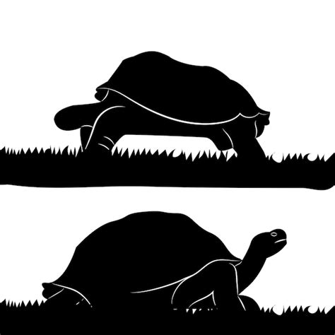 Premium Vector Premium Vector Tortoise Silhouette Design Stock