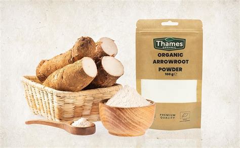 Organic Arrowroot Powder 100g Arrowroot Flour Starch Non Gmo