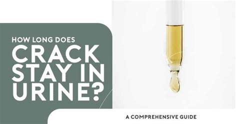 Acute Propofol Intoxication Risks Symptoms And Prevention