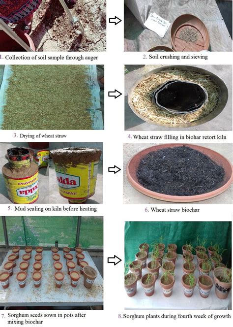 Layout For Biochar Formation And Its Application In Arid Thar And