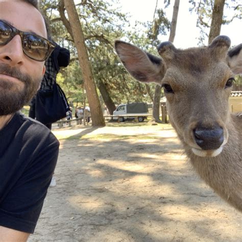 Stream Ali Hamdan Music Listen To Songs Albums Playlists For Free On Soundcloud