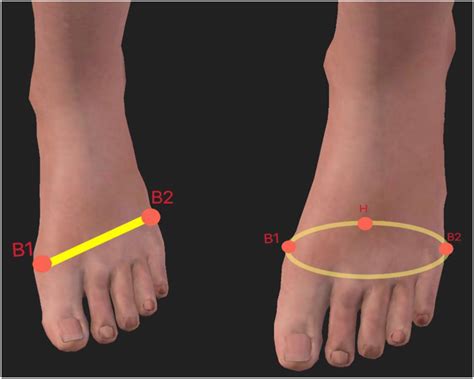 Illustration Of Ball Width Left And Ball Girth Right Download