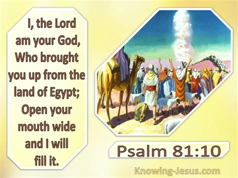 14 Bible Verses About Spiritual Hunger
