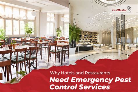 Why Hotels And Restaurants Need Emergency Pest Control Services