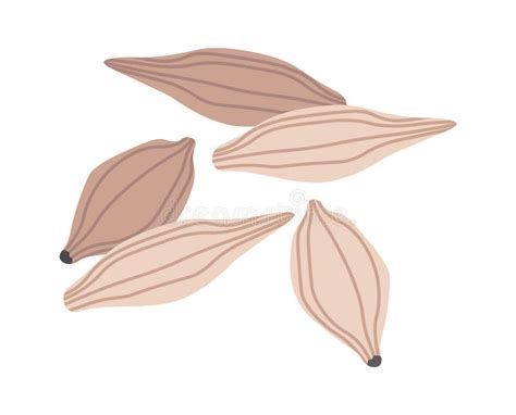 Barley Grain Flat Icon Cereal Grain Agriculture Stock Vector