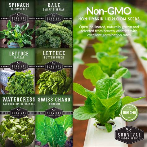Hydroponic Leafy Greens Seed Kit Survivalgardenseeds