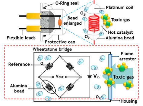 What Gases Does An Lel Sensor Detect At Kathy Carter Blog