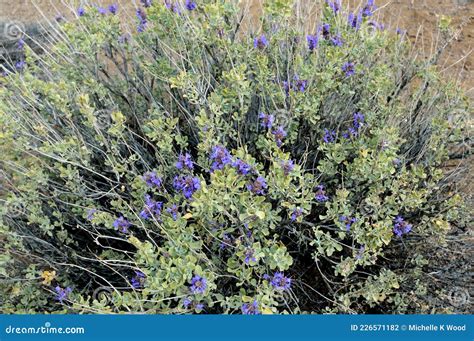 Owyhee Canyonlands Wilderness Grand View Idaho Desert Text Area