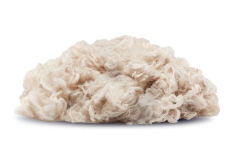 Sibwool - Фабрика ПОШ. Производство и оптовая продажа мытой шерсти ...