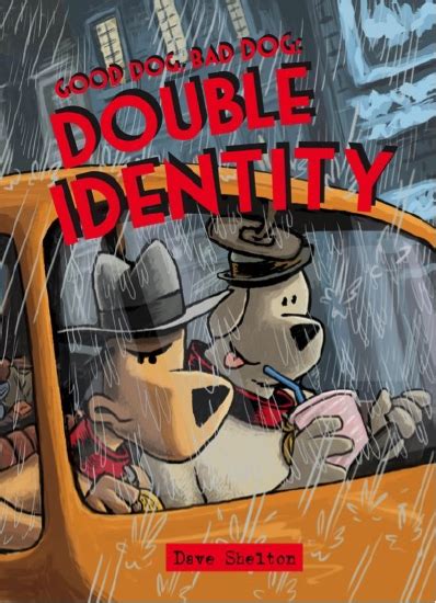 The Store Double Identity Book The Store