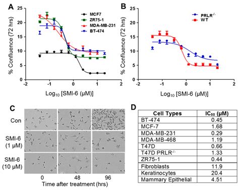 Suppression Of Cell Proliferation By Smi 6 As Determined By The