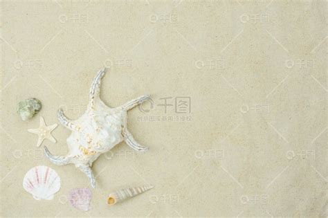 岸背景 装饰暑假背景概念的标志。 模板免费下载 格式 626像素 编号68049471 千图网