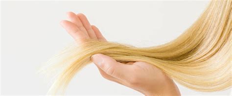 Can I Pass Hair Drug Testing By Bleaching My Hair Macujo