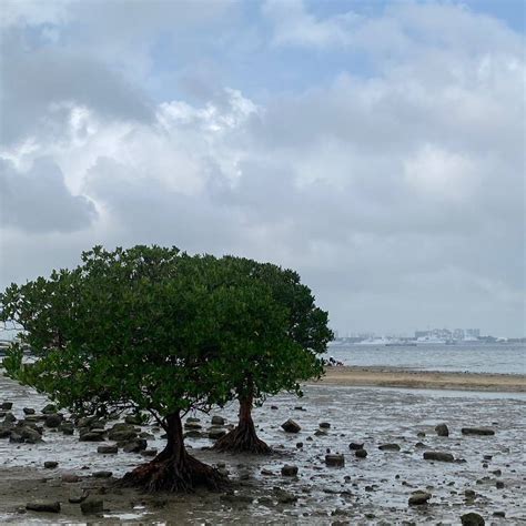 全国各省地方留存税收的具体比例和计算方法介绍进行经济建设