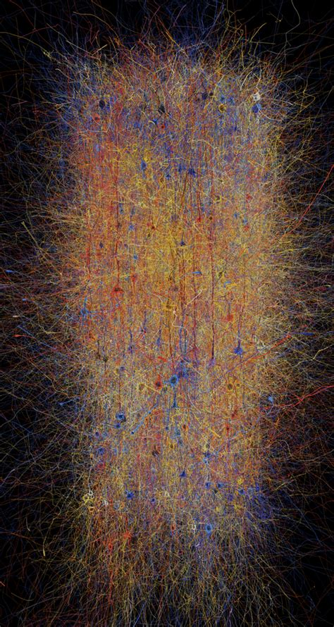 8 A Sequence Of Frames Showing The Spatio Temporal Activity Patterns