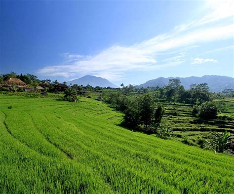 Our Brands The Compass Rose Hotels Bali