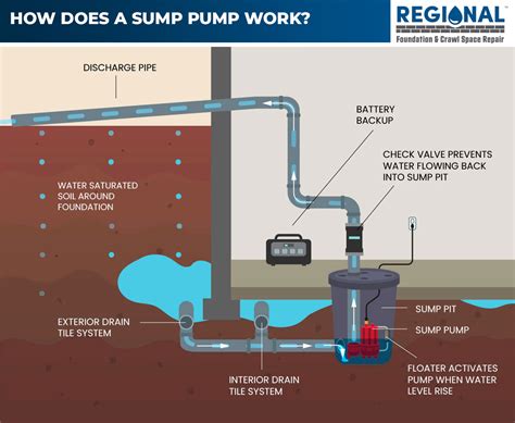 Can A Sump Pump Improve Crawl Space Humidity Levels