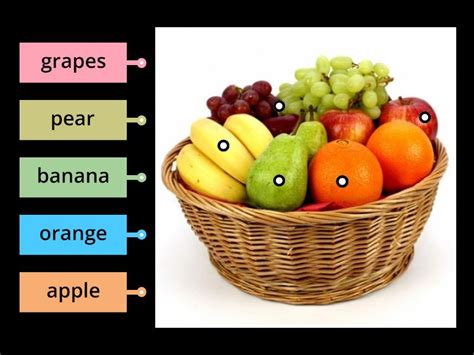 Fruit Labelled Diagram