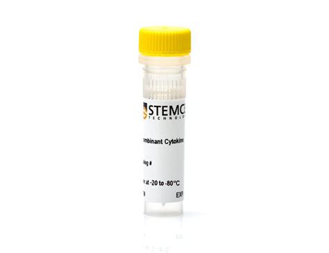 Mouse G Csf Stemcell Technologies