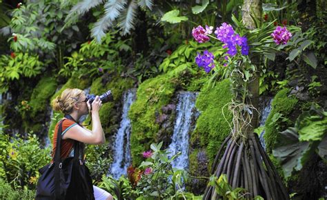 Singapore Botanic Gardens Colorfully Connects People With Plants Los