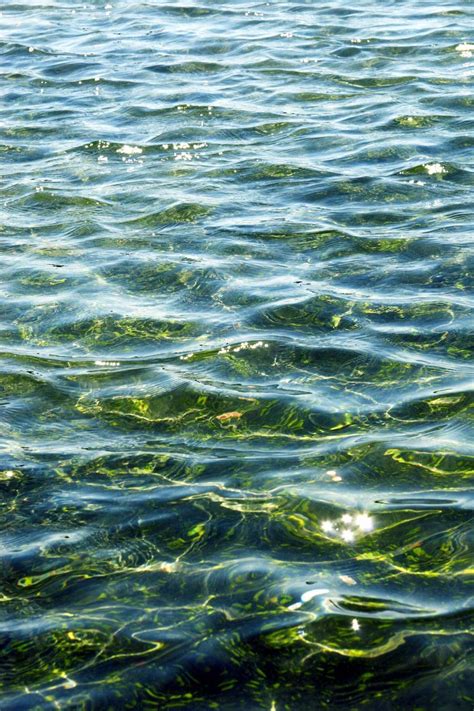 Ocean Wave Ripples
