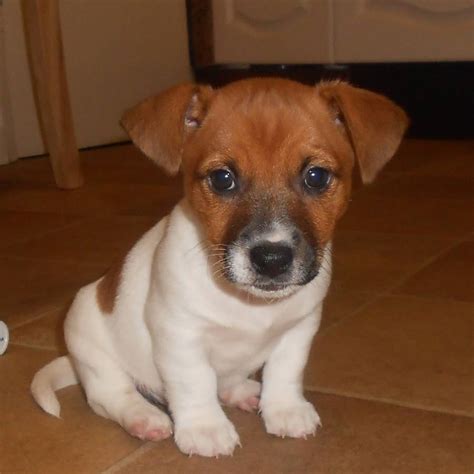 Christopher Beaumont Youtube